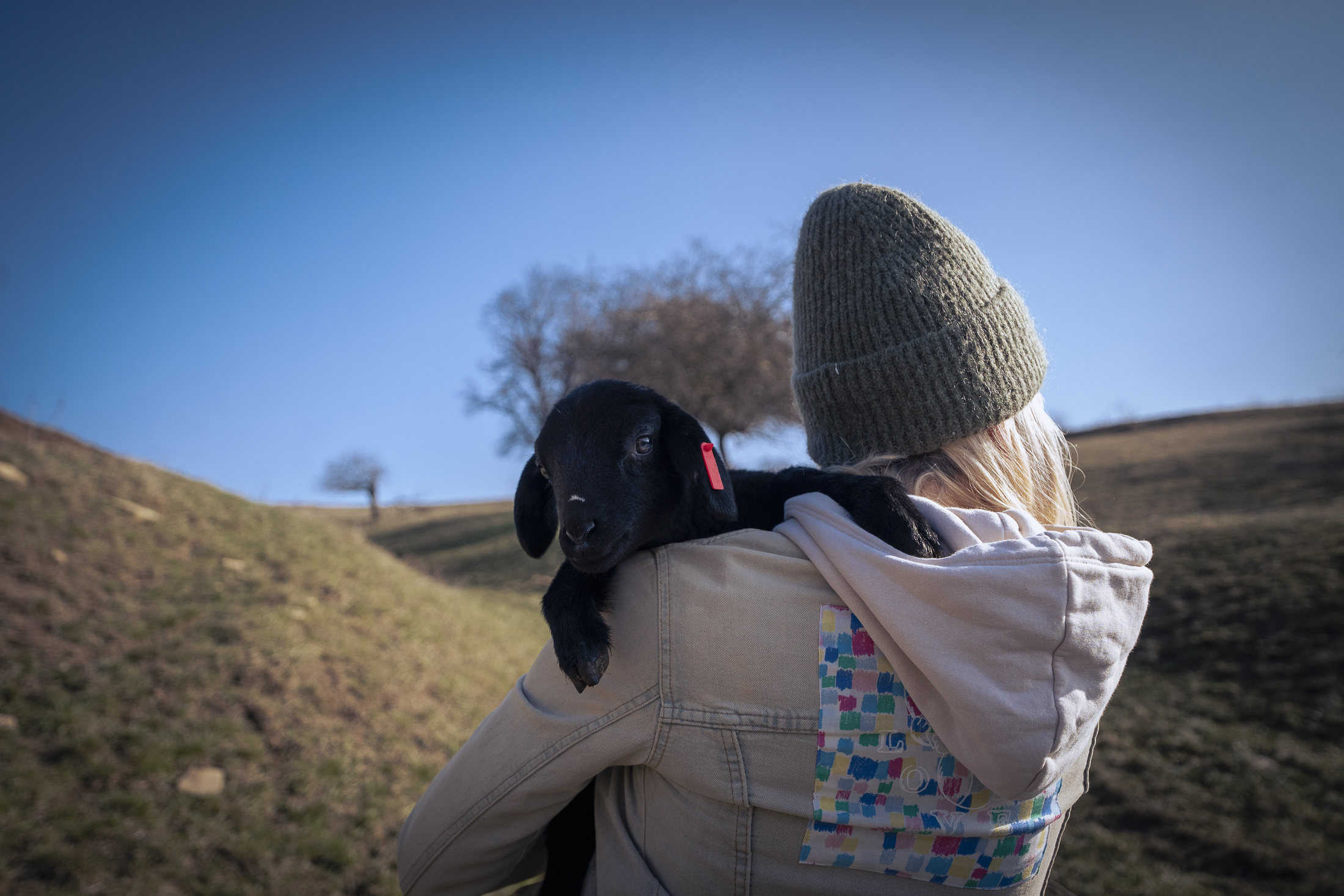Socken | Wien Energie
